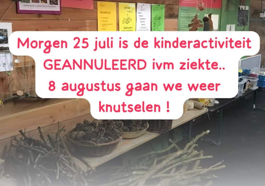 KNUTSELEN DINSDAG 25 JULI GEANNULEERD IVM ZIEKTE - Landgoed Schovenhorst